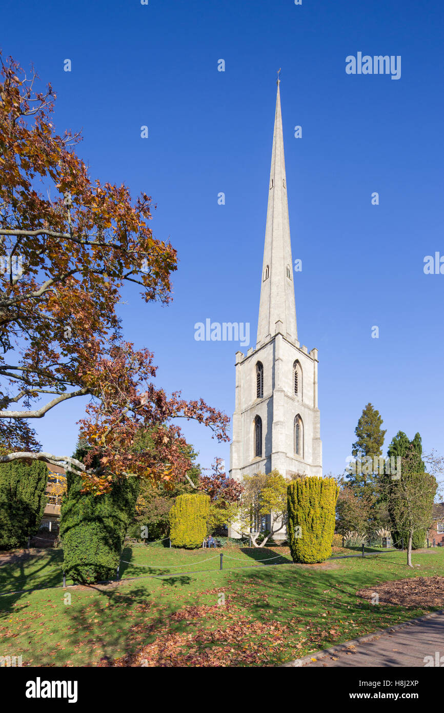 Glovers needle worcester hi-res stock photography and images - Alamy