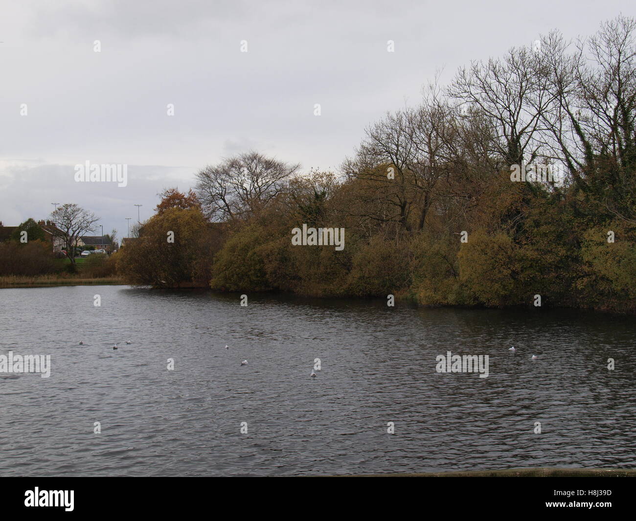 Mill pool way hi-res stock photography and images - Alamy