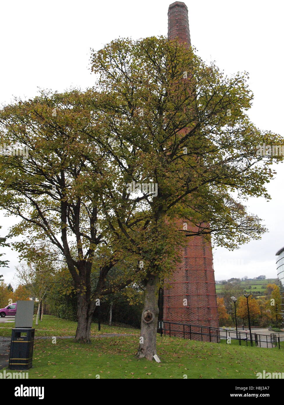 Chimney Tree Mill Stock Photo - Alamy
