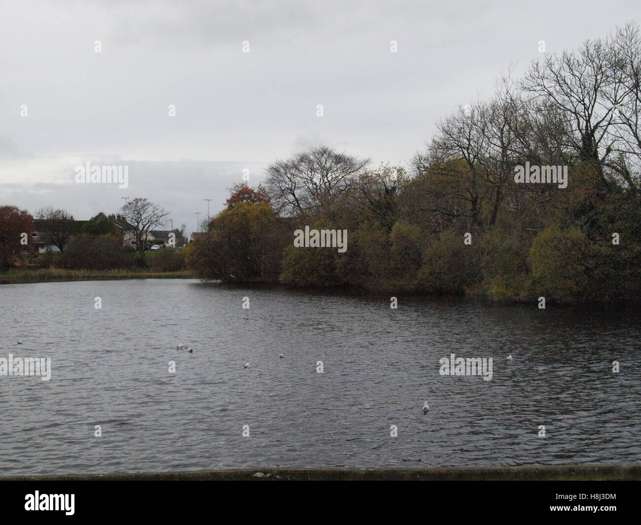 Mill pool way hi-res stock photography and images - Alamy