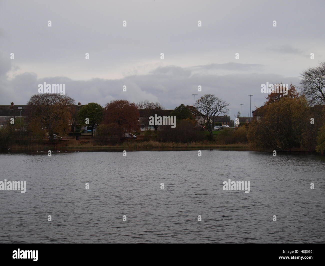 Mill pool way hi-res stock photography and images - Alamy