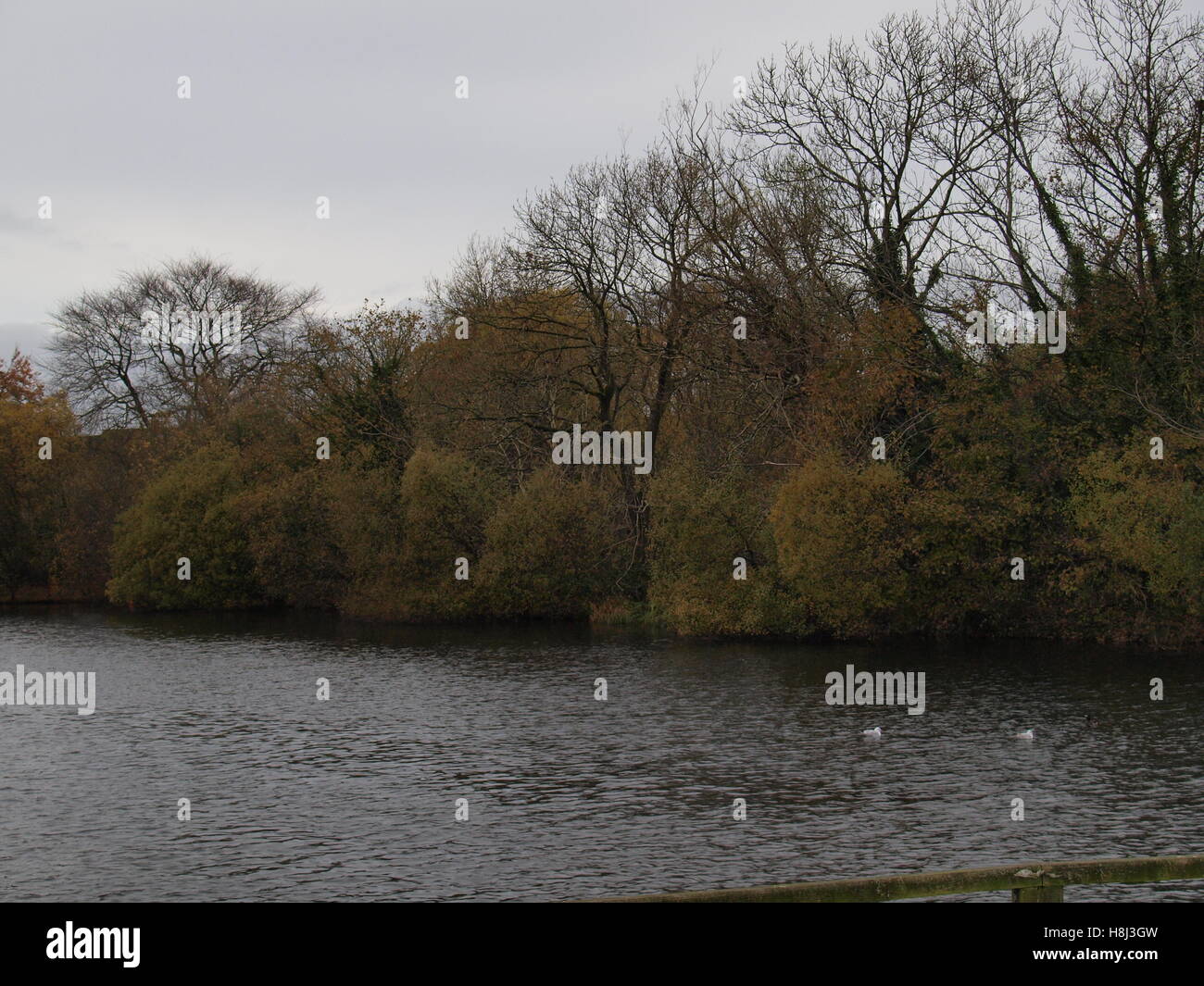 Mill pool way hi-res stock photography and images - Alamy