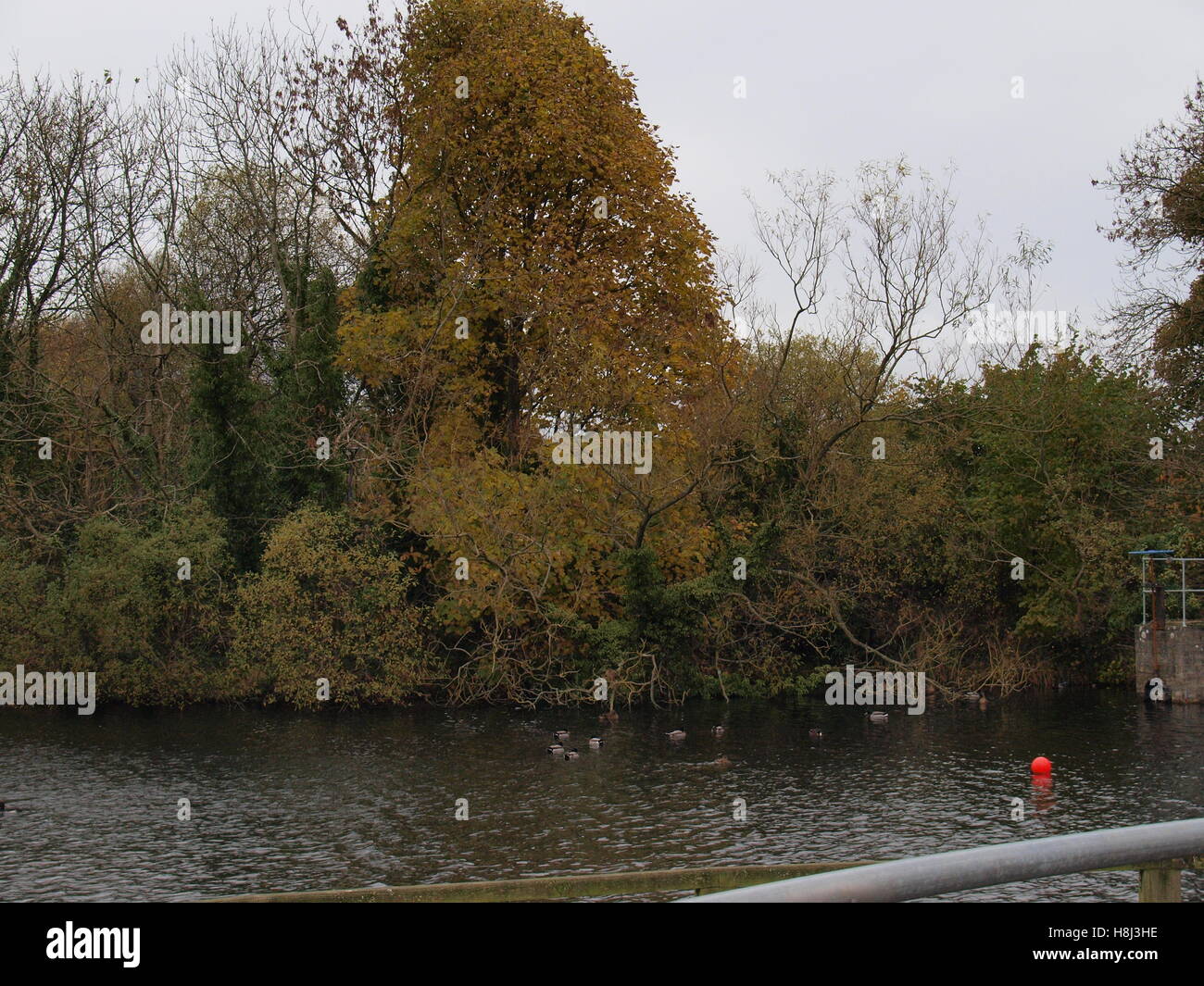 Mill pool way hi-res stock photography and images - Alamy
