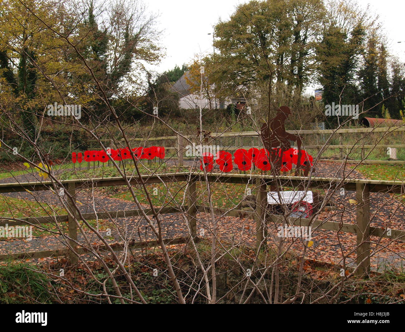 Somme Remembrance Poppy Day World War Stock Photo - Alamy
