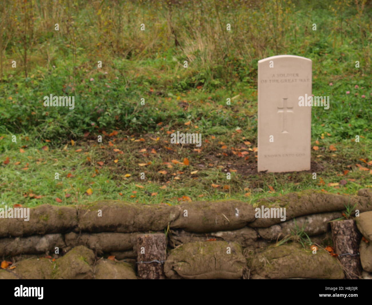 Somme Remembrance Poppy Day World War Stock Photo - Alamy