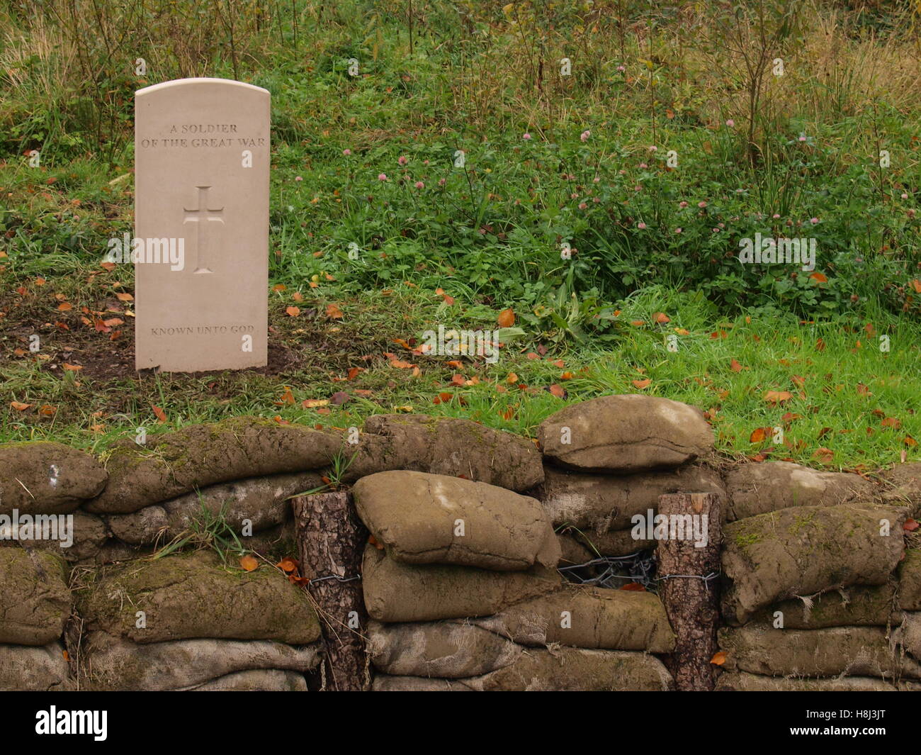 Somme Remembrance Poppy Day World War Stock Photo - Alamy