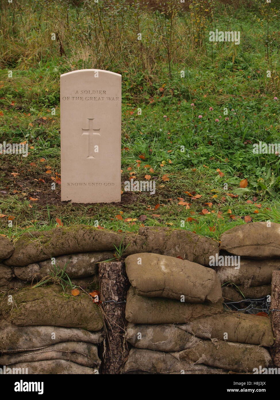 Somme Remembrance Poppy Day World War Stock Photo - Alamy