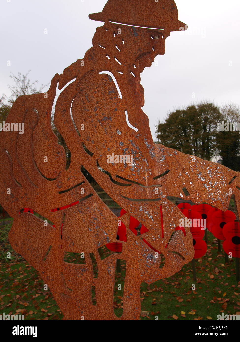 Somme Remembrance Poppy Day World War Stock Photo - Alamy
