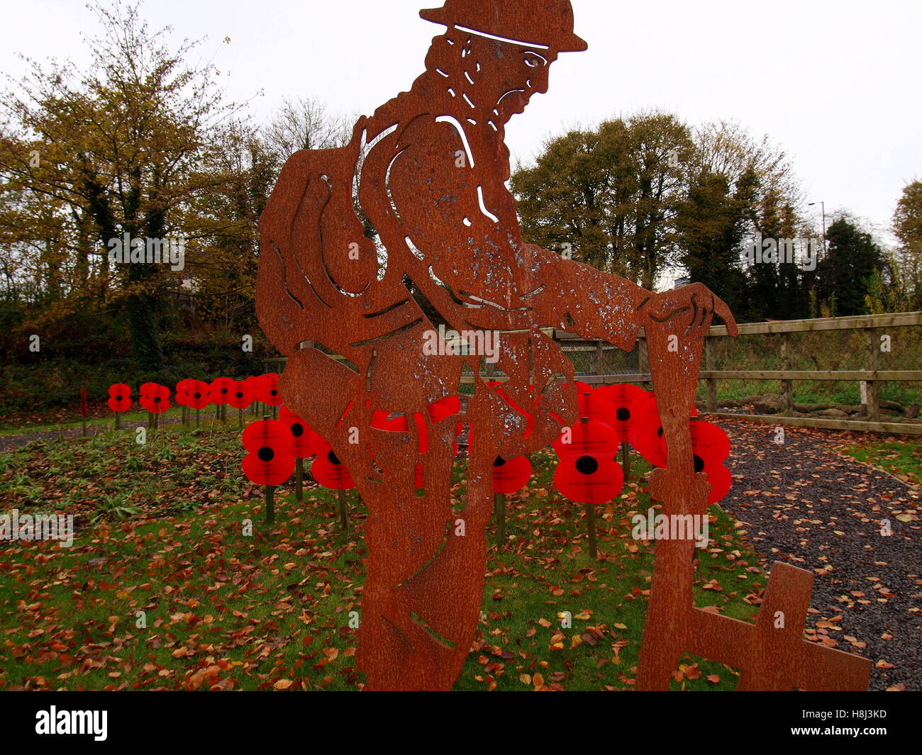 Somme Remembrance Poppy Day World War Stock Photo - Alamy