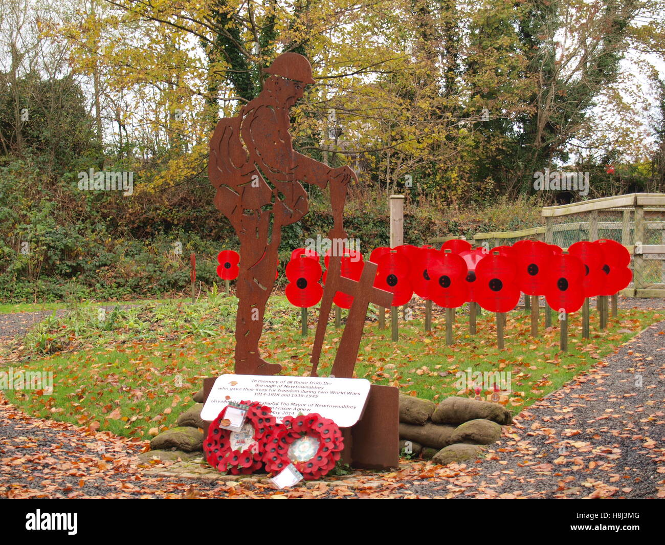 Somme Remembrance Poppy Day World War Stock Photo - Alamy