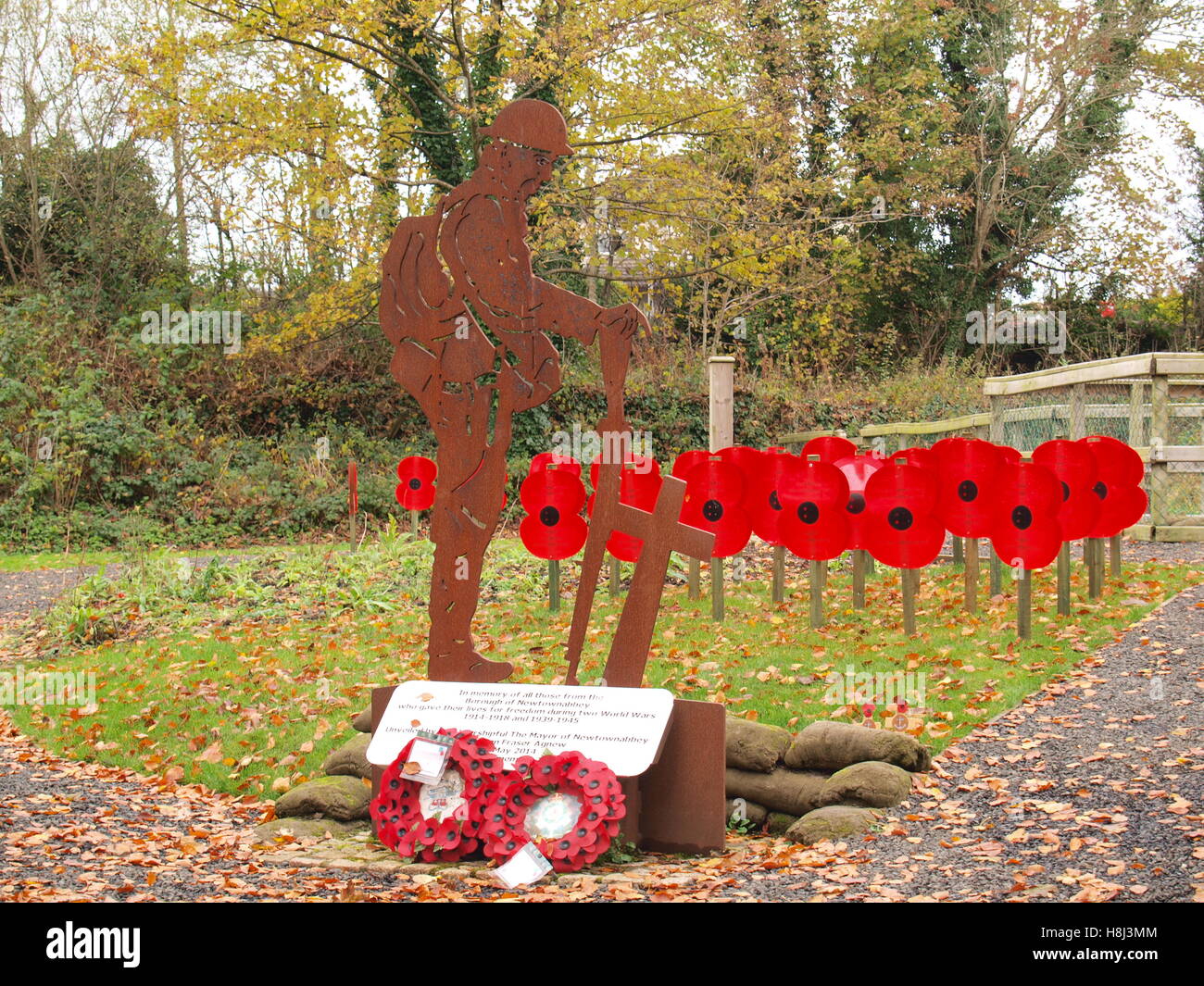 Somme Remembrance Poppy Day World War Stock Photo - Alamy
