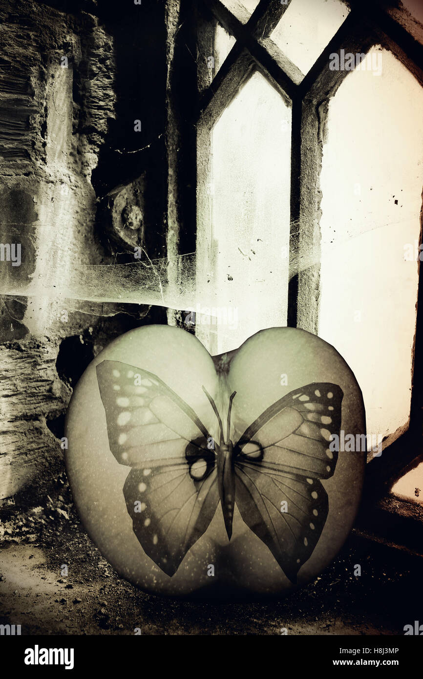 Man ray still life hi-res stock photography and images - Alamy