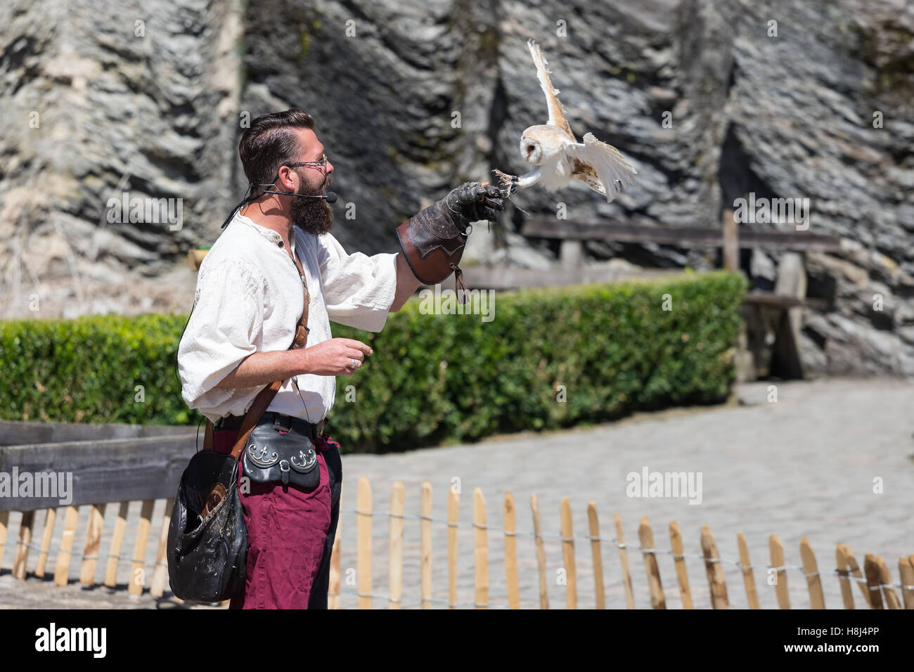 Bird of prey show in medieval castle of Bouillon, Belgium Stock Photo ...