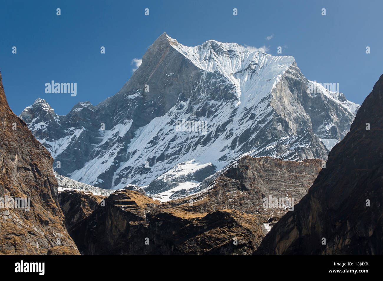 Machapuchare in Himalayas, Nepal Stock Photo - Alamy