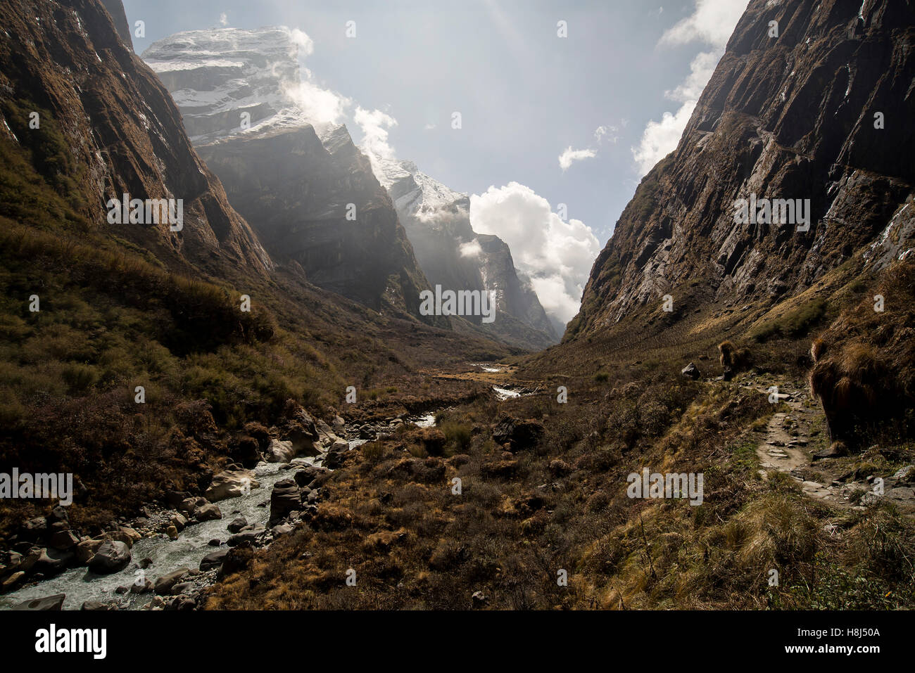 Modi khola valley in Annapurna Sanctuary Trek Stock Photo - Alamy
