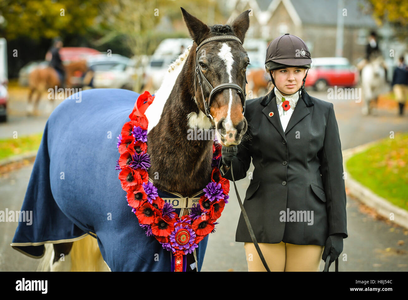 A poppy garland is worn by Sergeant Major 'Rocky' as he is led onto ...