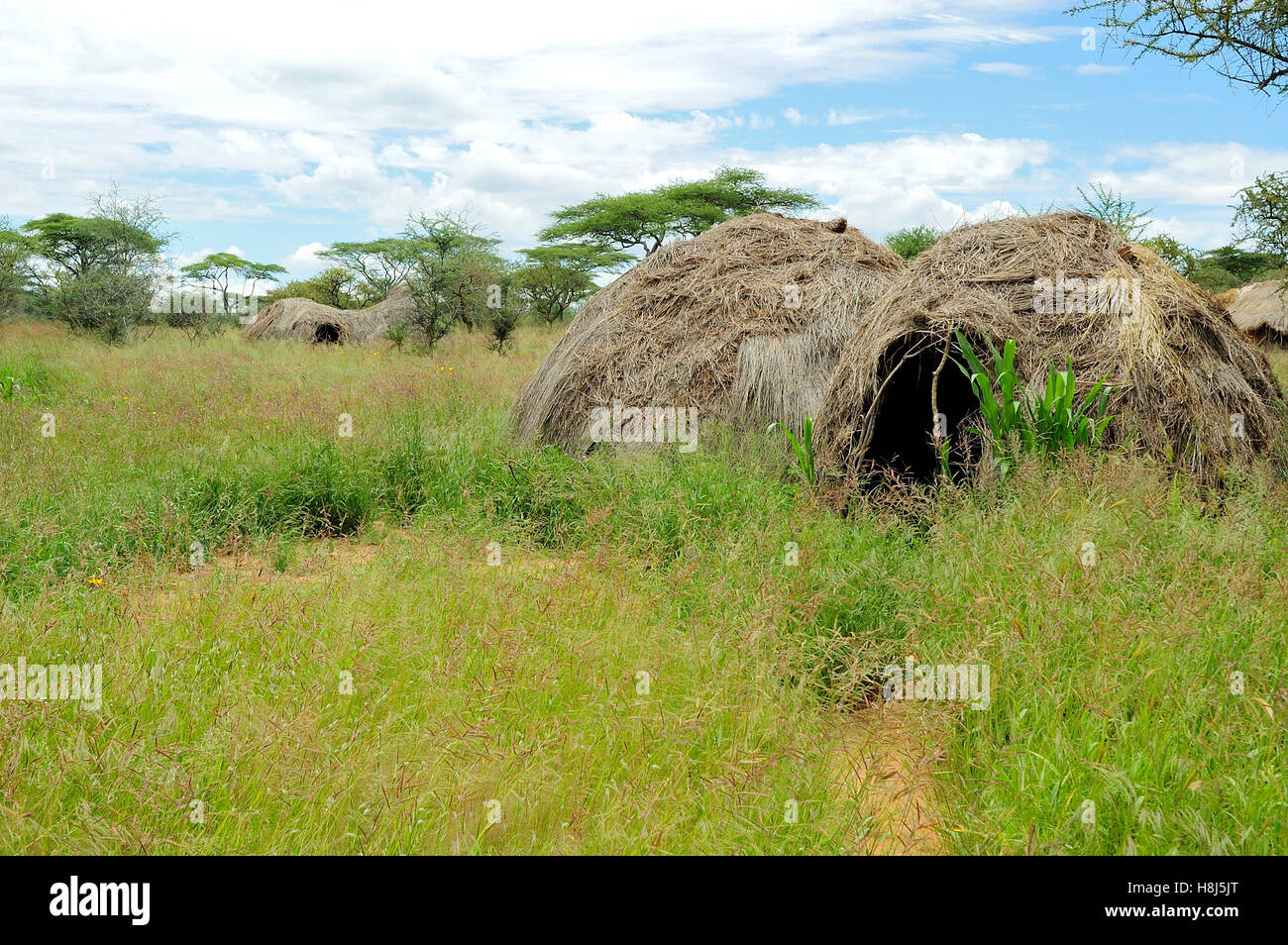 Hadza tribe hi-res stock photography and images - Alamy
