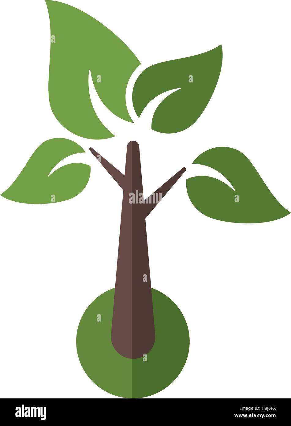 Isolated tree with leaves design Stock Vector Image & Art - Alamy