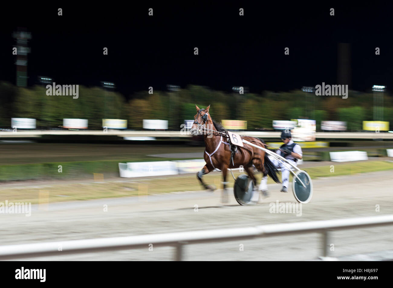 Panning effect - blurred picture horse sprints at race course Stock ...