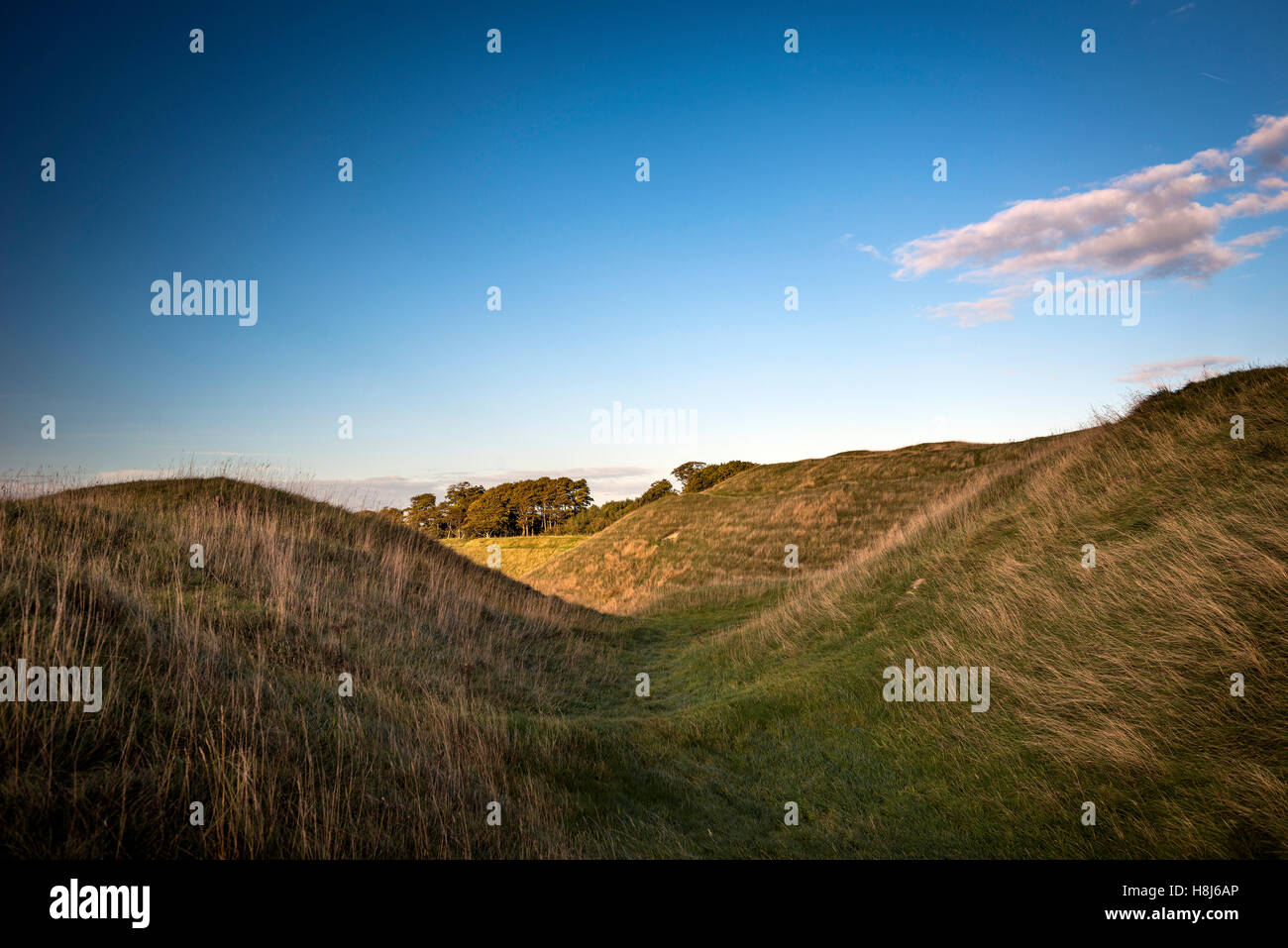 Oldbury Iron Age hill fort in Wiltshire, UK Stock Photo - Alamy