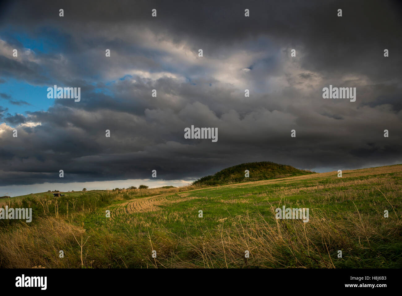Oldbury hill fort hi-res stock photography and images - Alamy