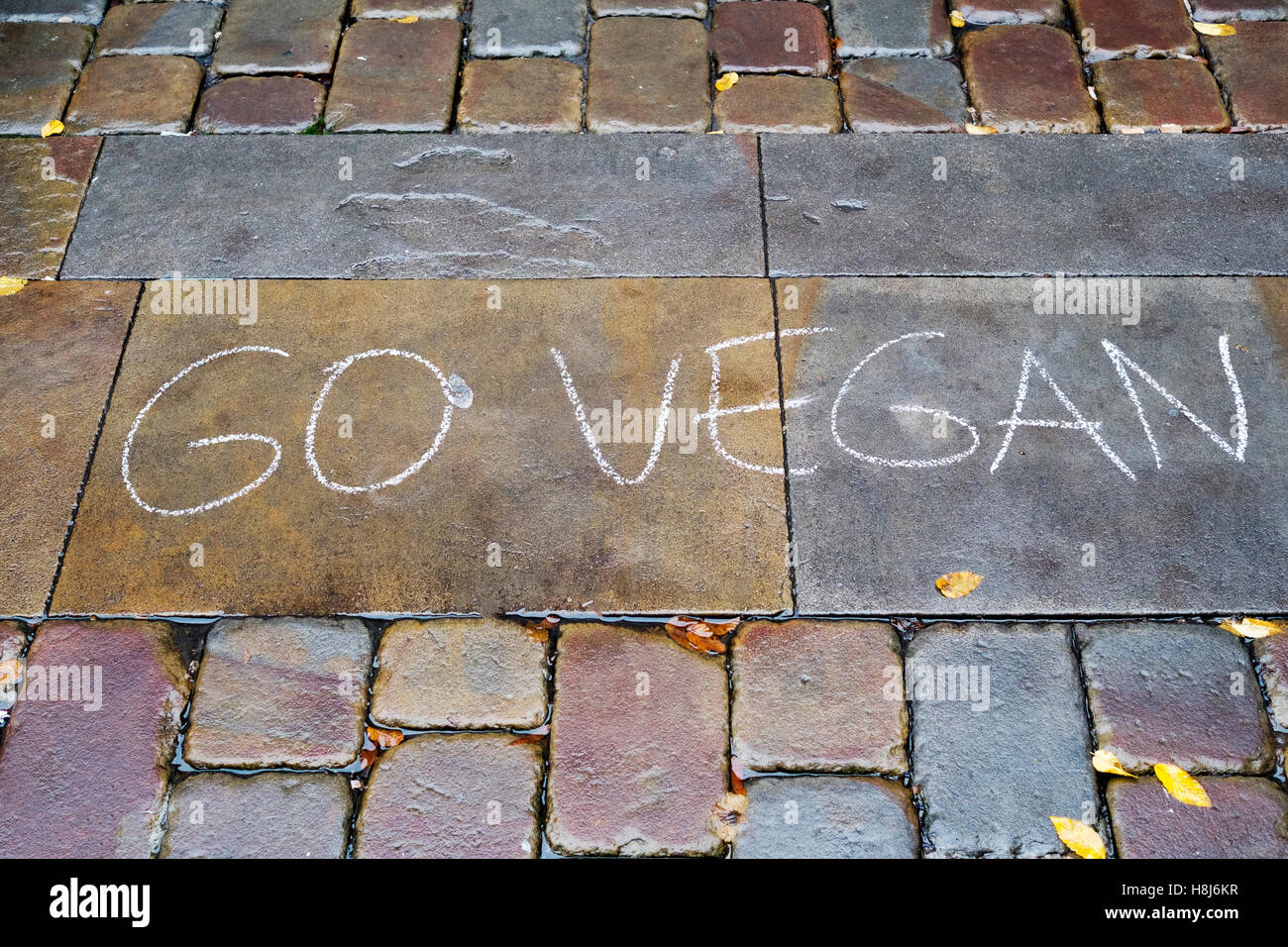 Vegan signs, information, placards, displayed in Manchester, UK Stock ...
