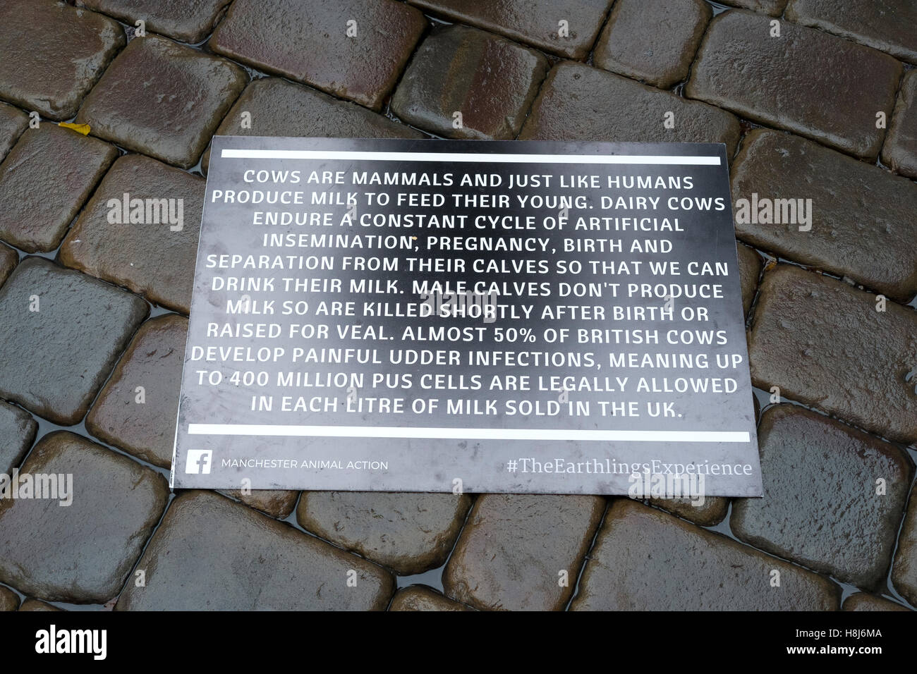 Vegan signs, information, placards, displayed in Manchester, UK Stock ...