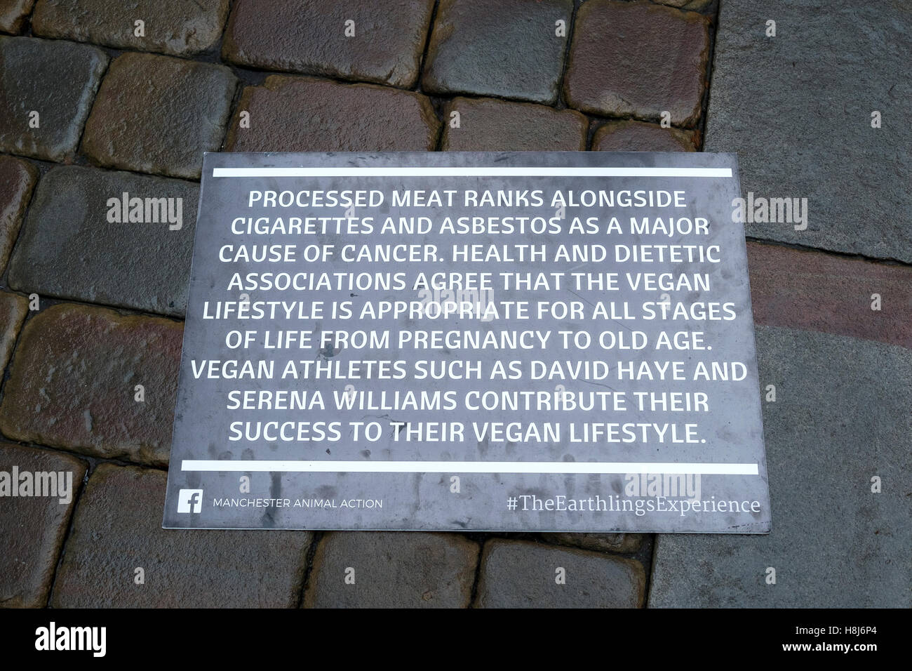 Vegan signs, information, placards, displayed in Manchester, UK Stock ...