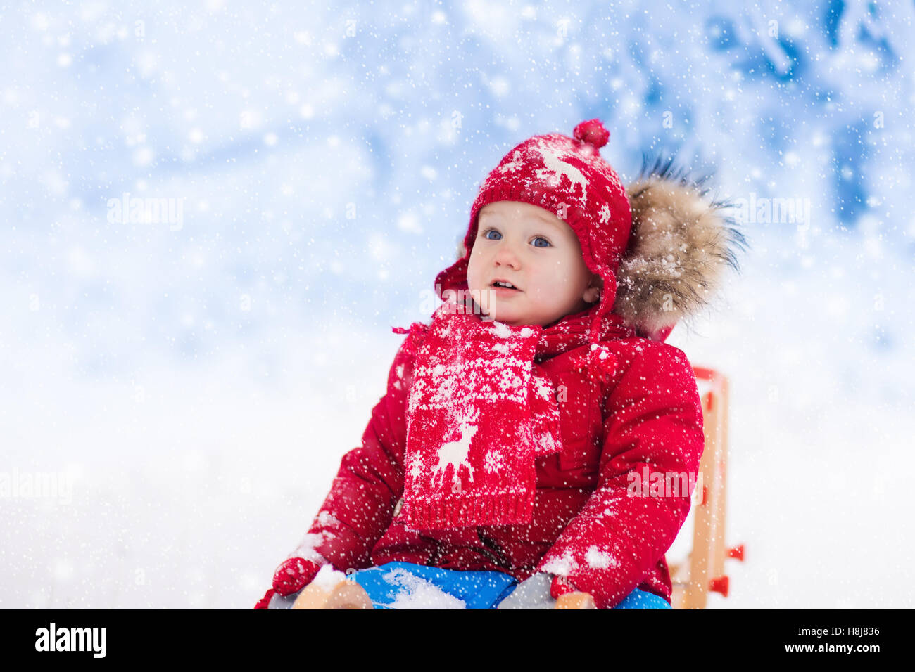 Little girl enjoying a sleigh ride. Child sledding. Toddler kid riding ...