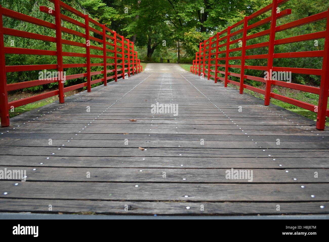 Explore your future hi-res stock photography and images - Alamy