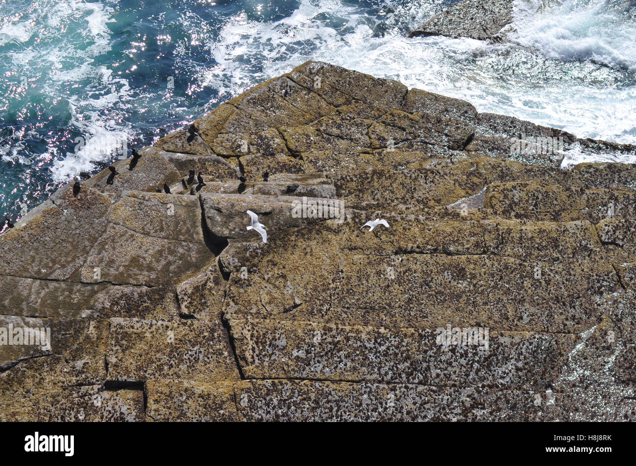 Rocky cliffs of the Brough of Birsay meet the Atlantic Ocean Stock ...