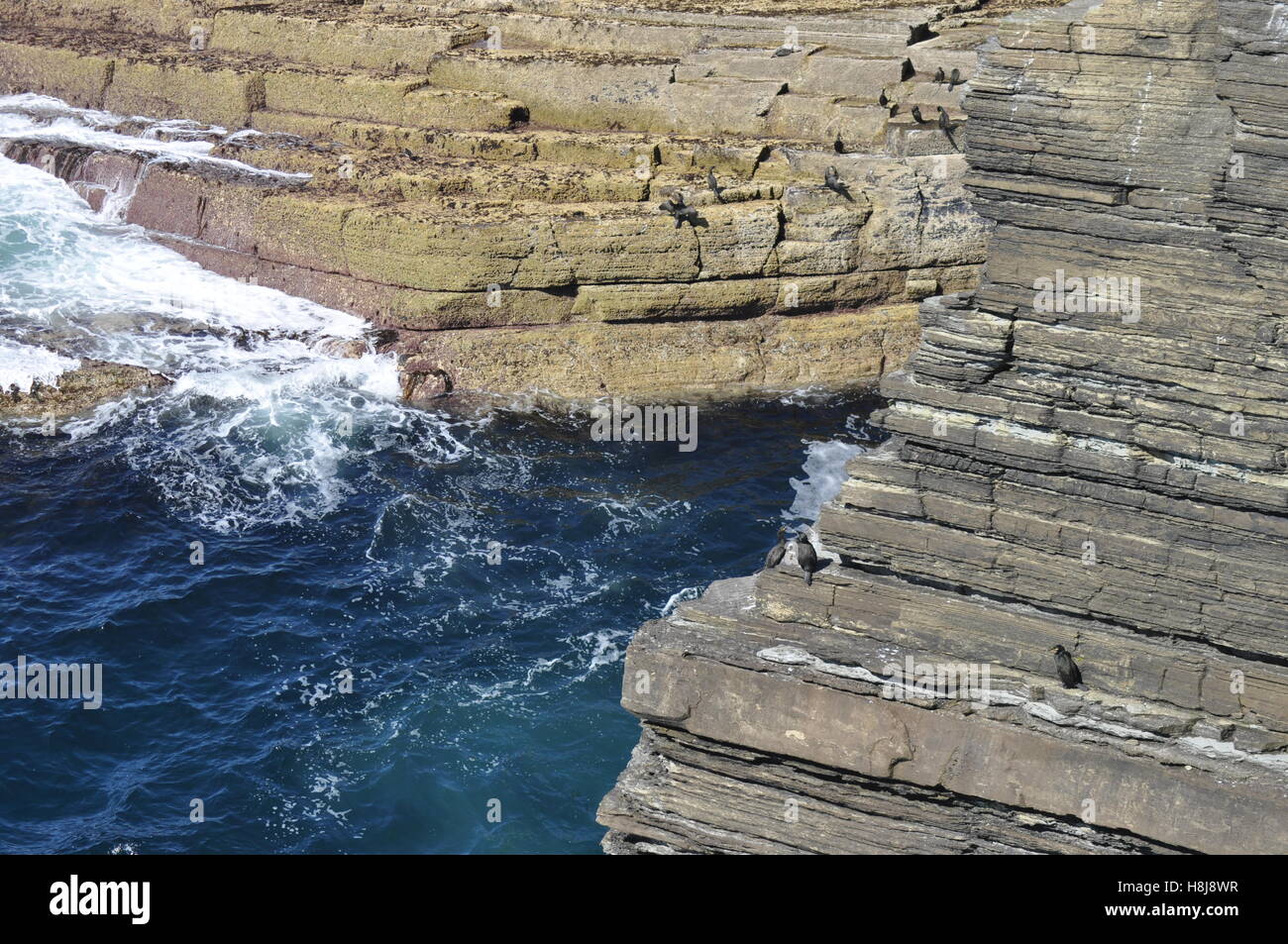 Rocky cliffs of the Brough of Birsay meet the Atlantic Ocean Stock ...
