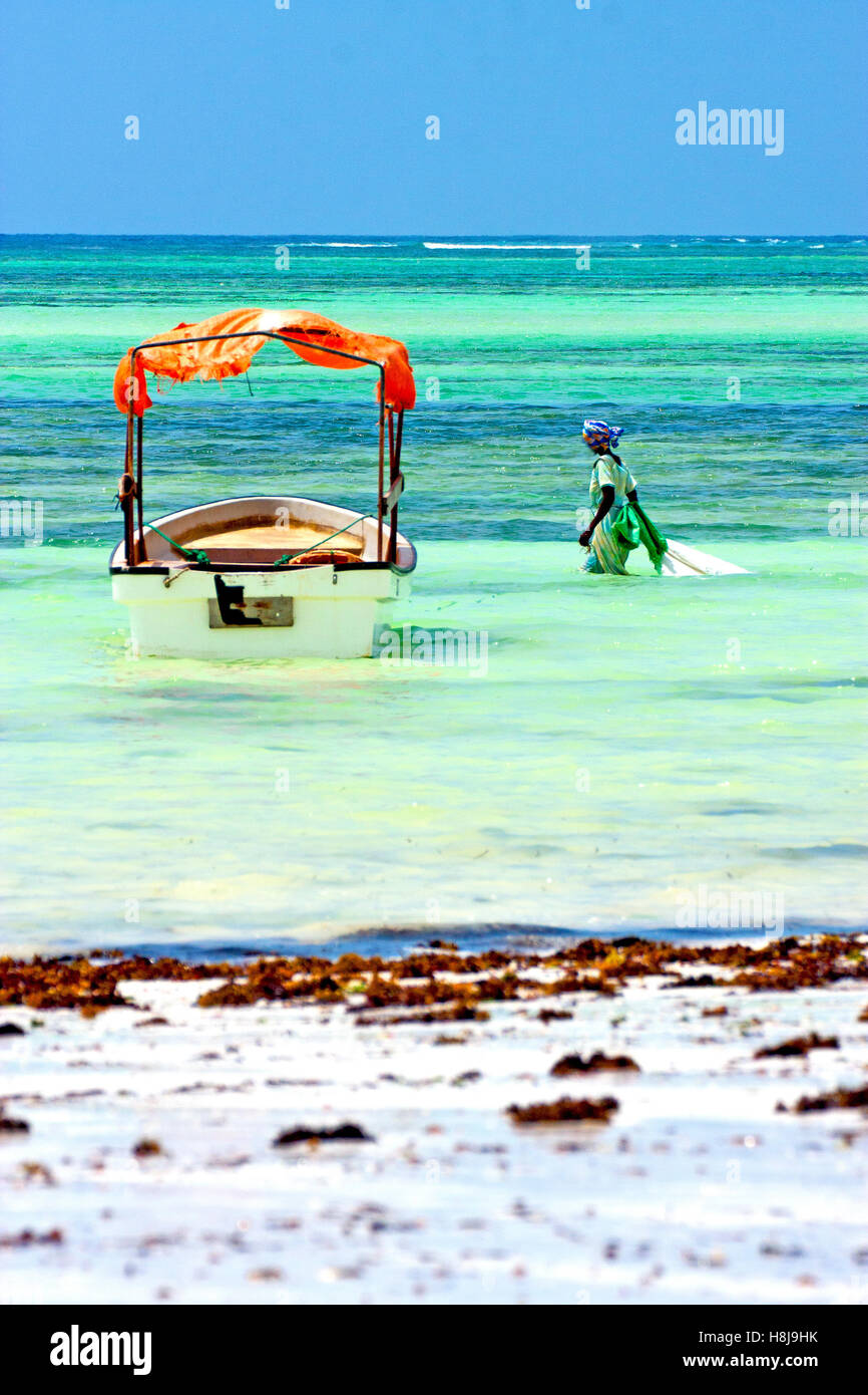 zanzibar beach seaweed in indian ocean tanzania sand isle sky and boat ...