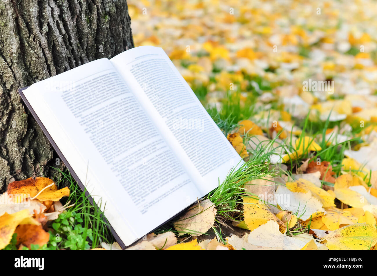 Book concept outdoor hi-res stock photography and images - Alamy