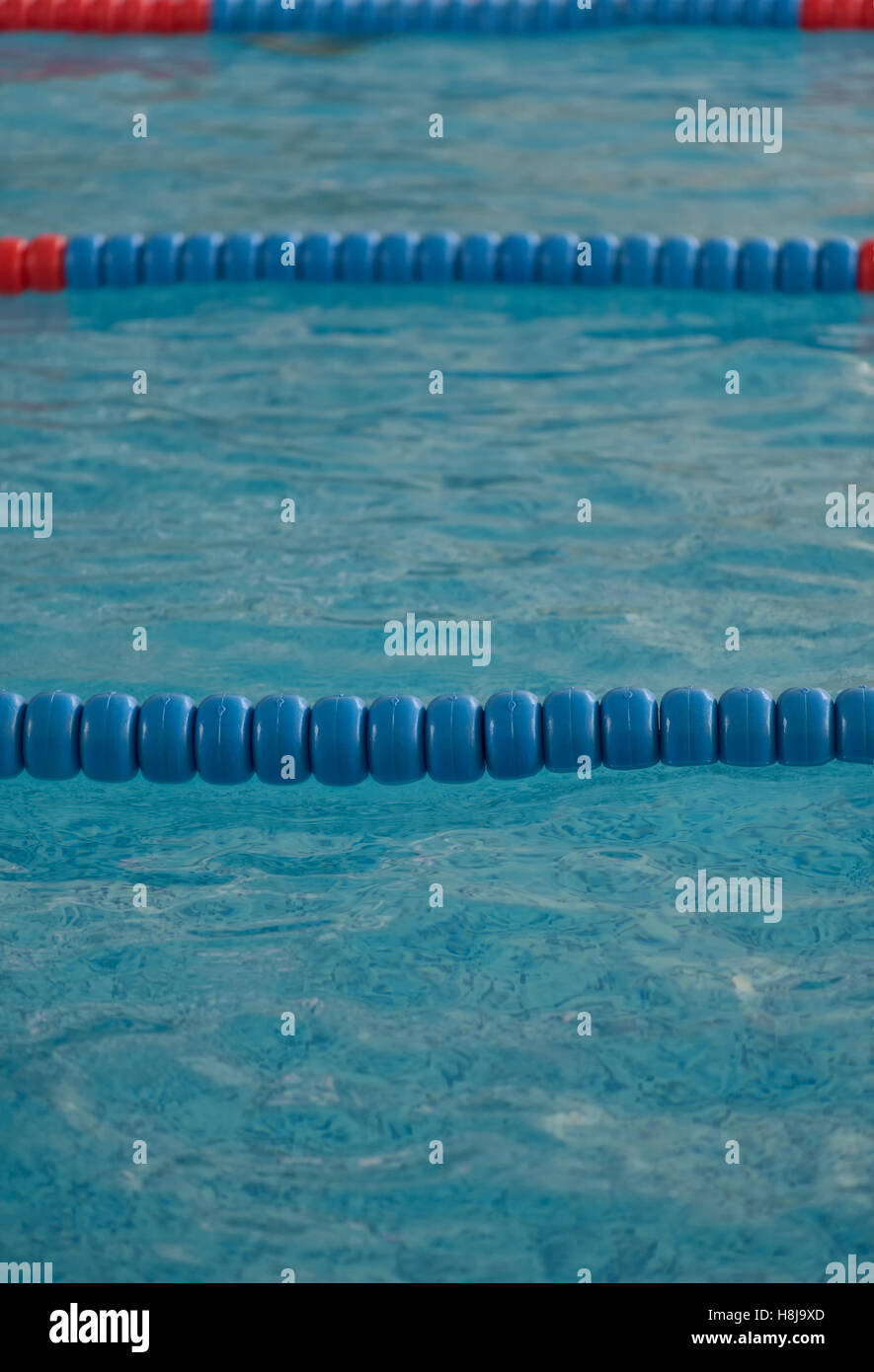 Swimming pool with swim lanes Stock Photo - Alamy