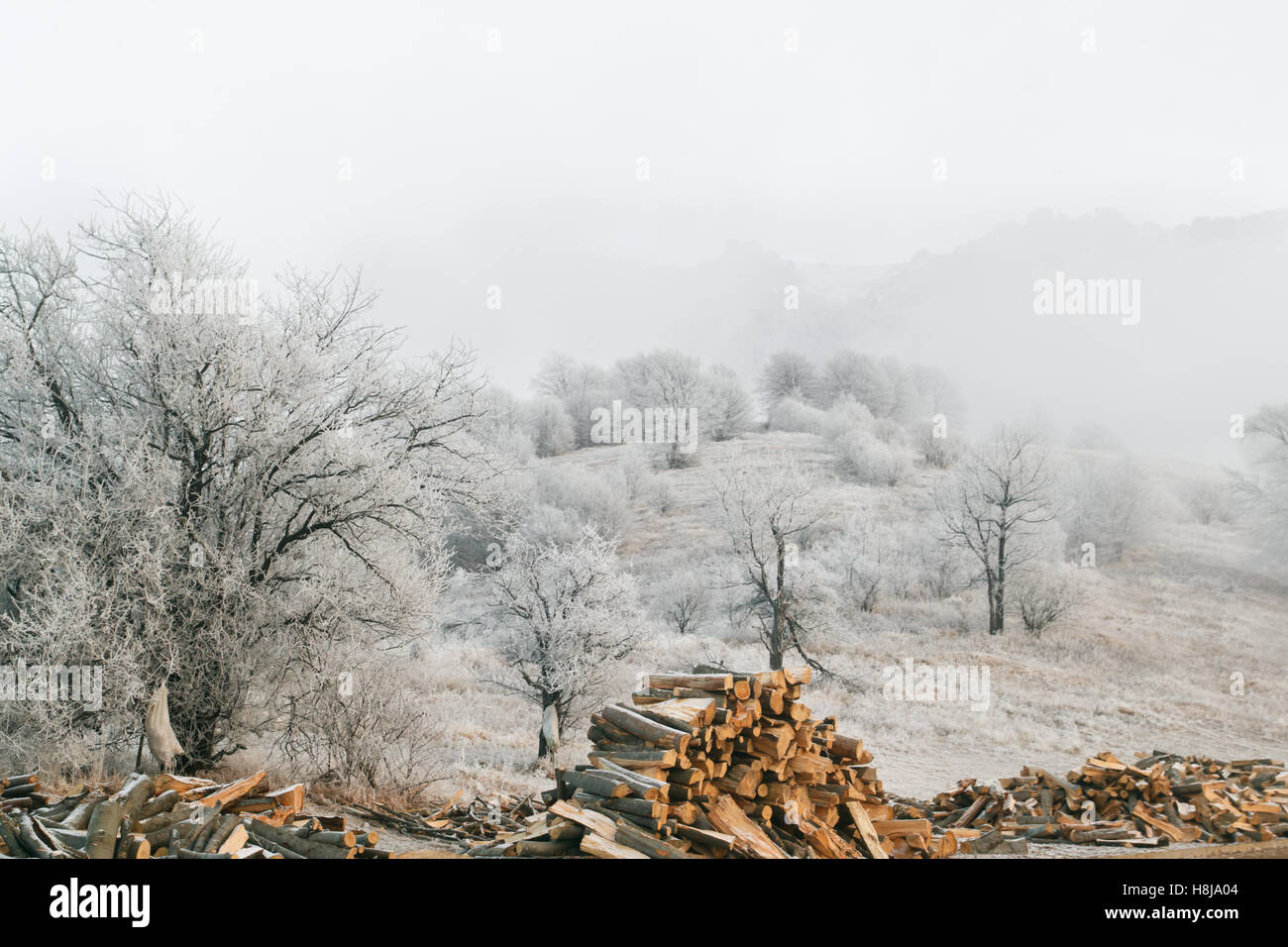Landscape mist snow hi-res stock photography and images - Alamy