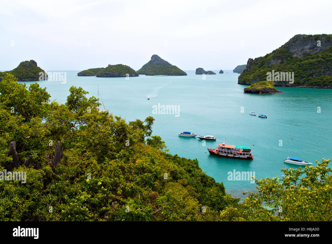 boat coastline of a green lagoon and tree south china sea thailand kho ...