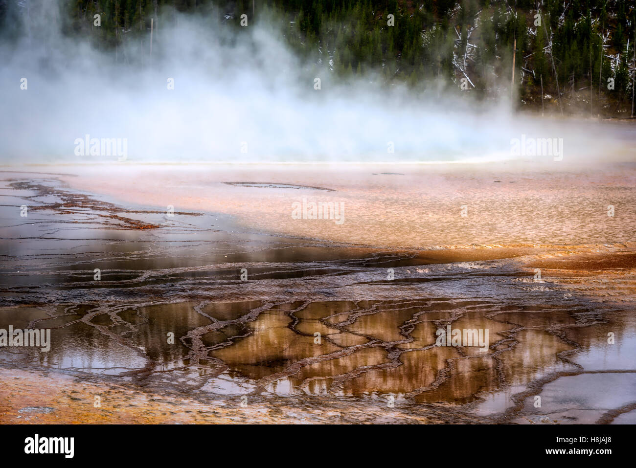 View of the Grand Prismatic Spring Stock Photo - Alamy