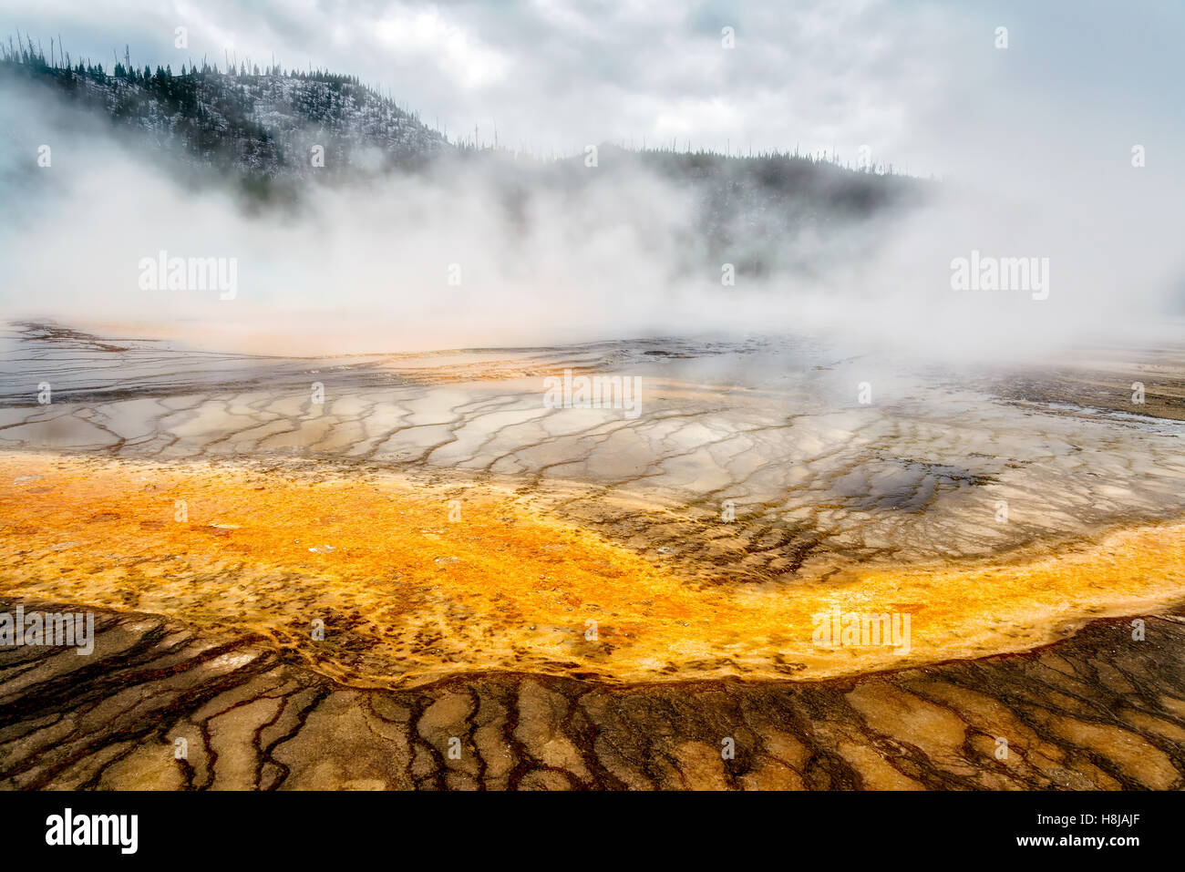 View of the Grand Prismatic Spring Stock Photo - Alamy