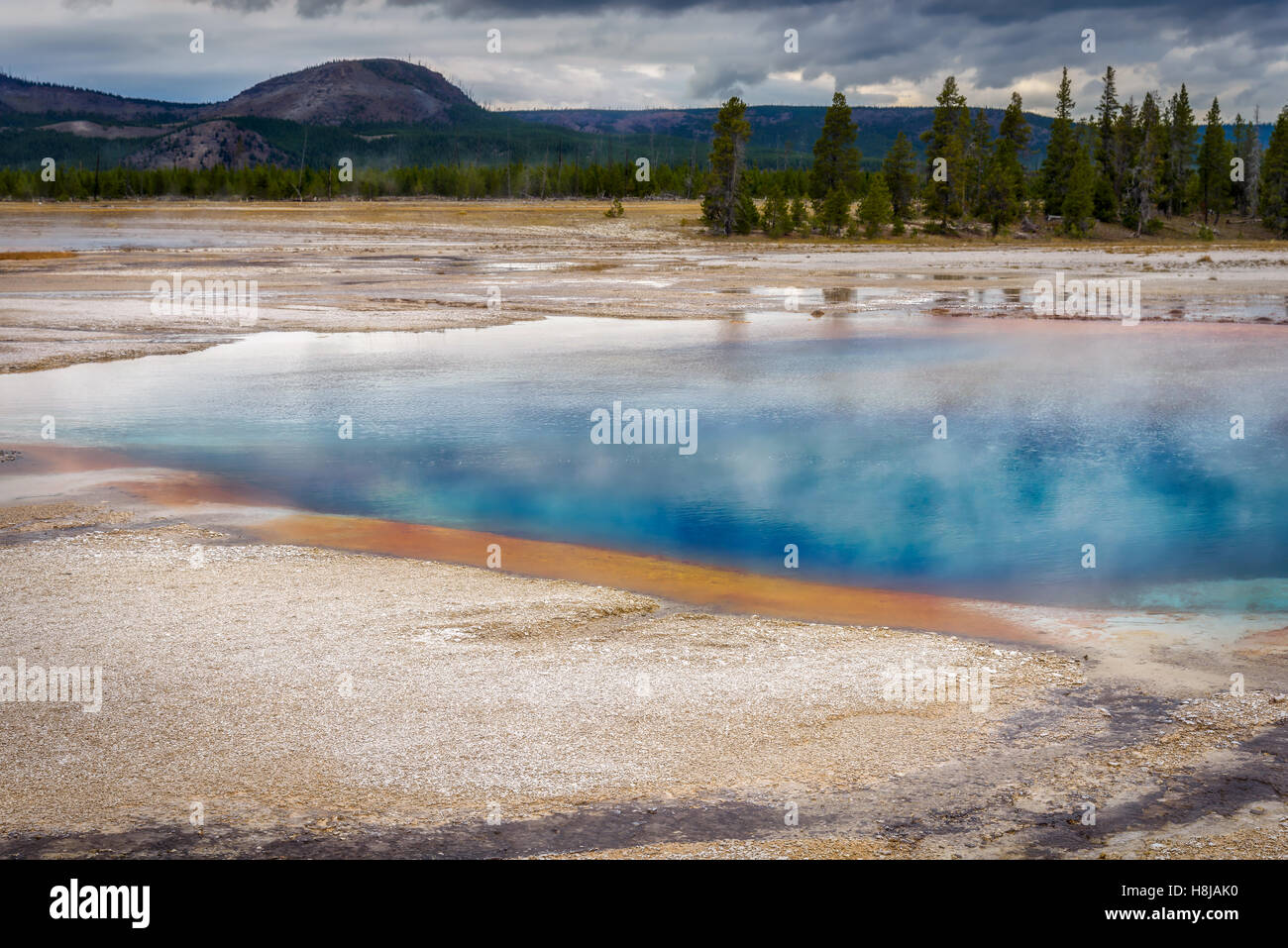 View of the Grand Prismatic Spring Stock Photo - Alamy
