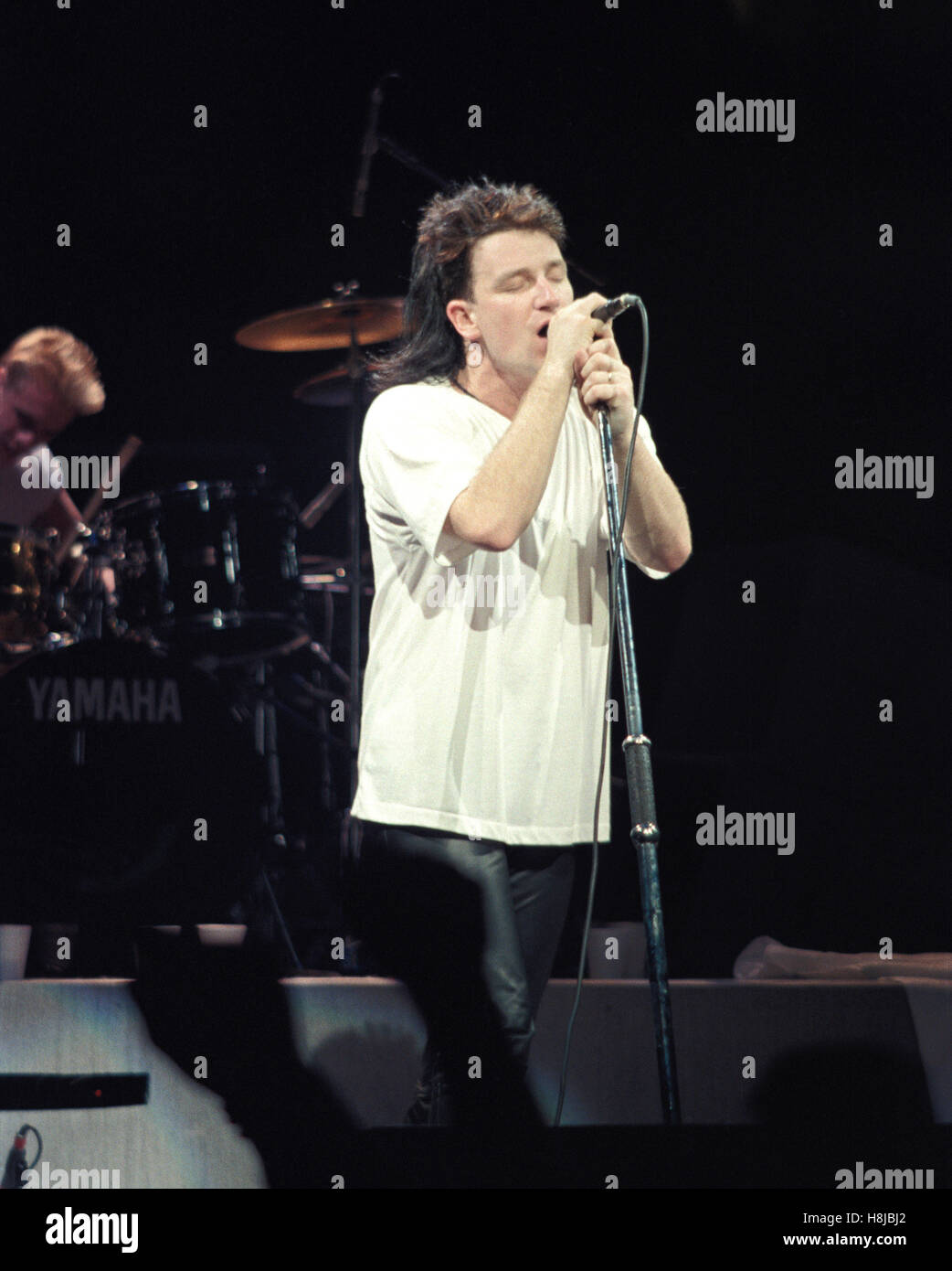 Bono 1984