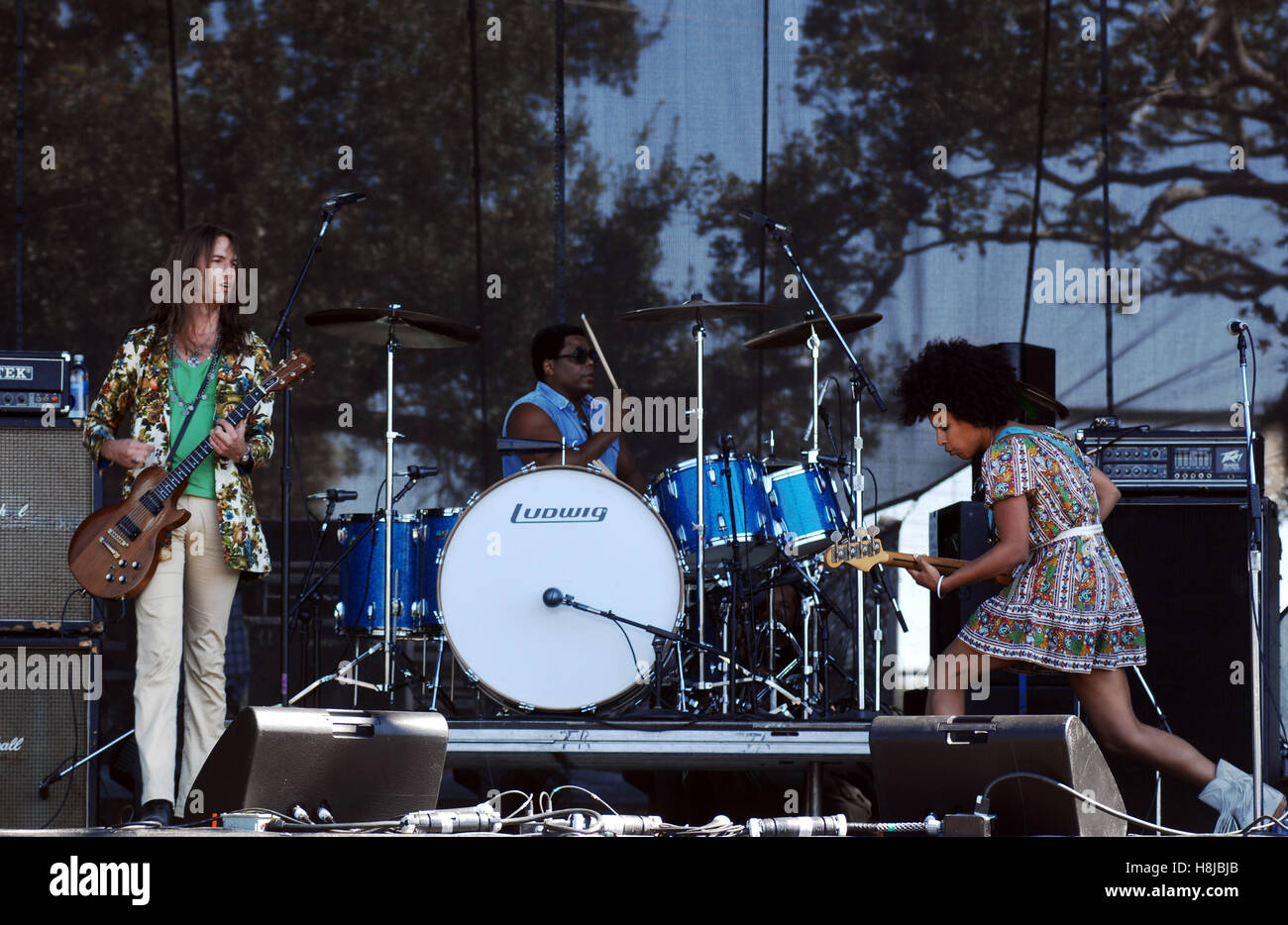 Earl greyhound hi-res stock photography and images - Alamy