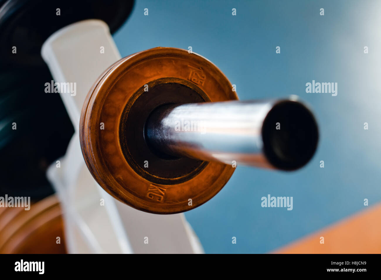 Bar-bell in the gym Stock Photo - Alamy