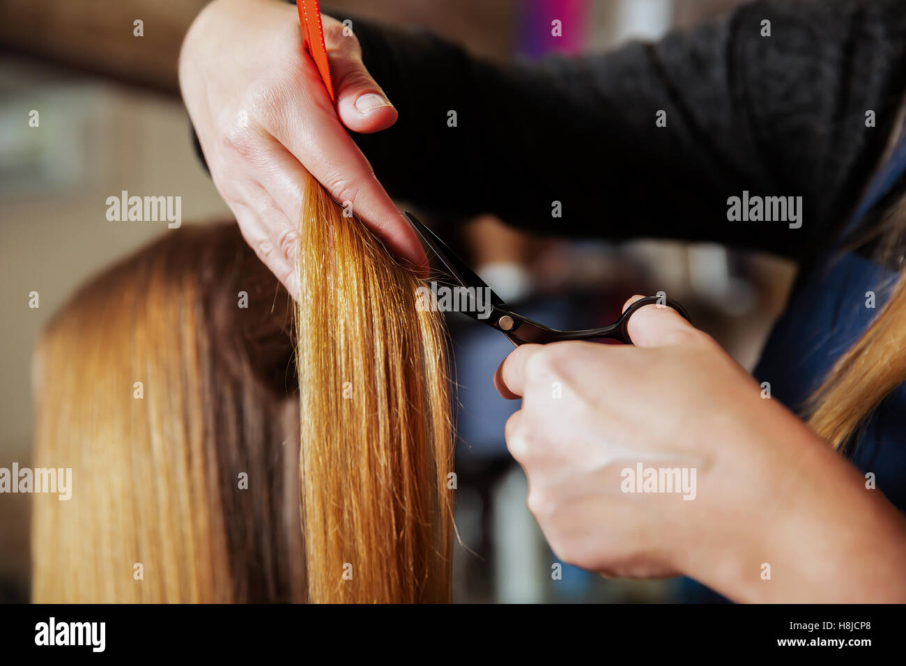 Professional hairdresser cutting hair Stock Photo - Alamy