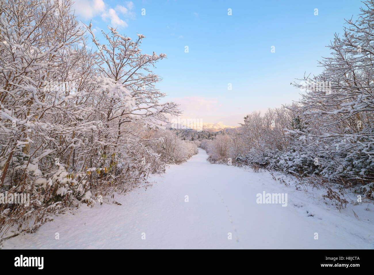 Winter mountain road through the pass, Sakhalin island, Russia Stock ...