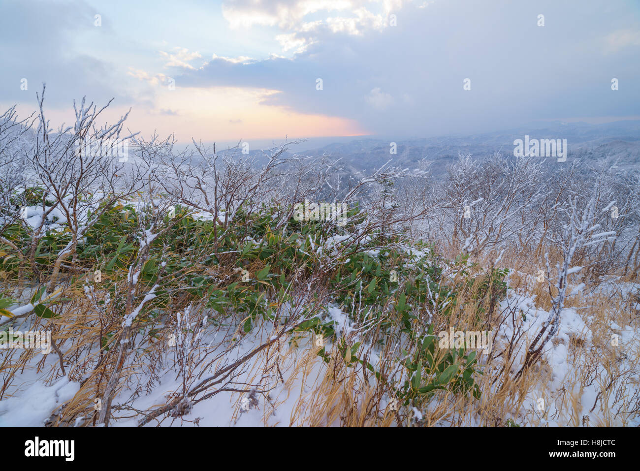 Sakhalin mountains in early winter, Russia Stock Photo - Alamy