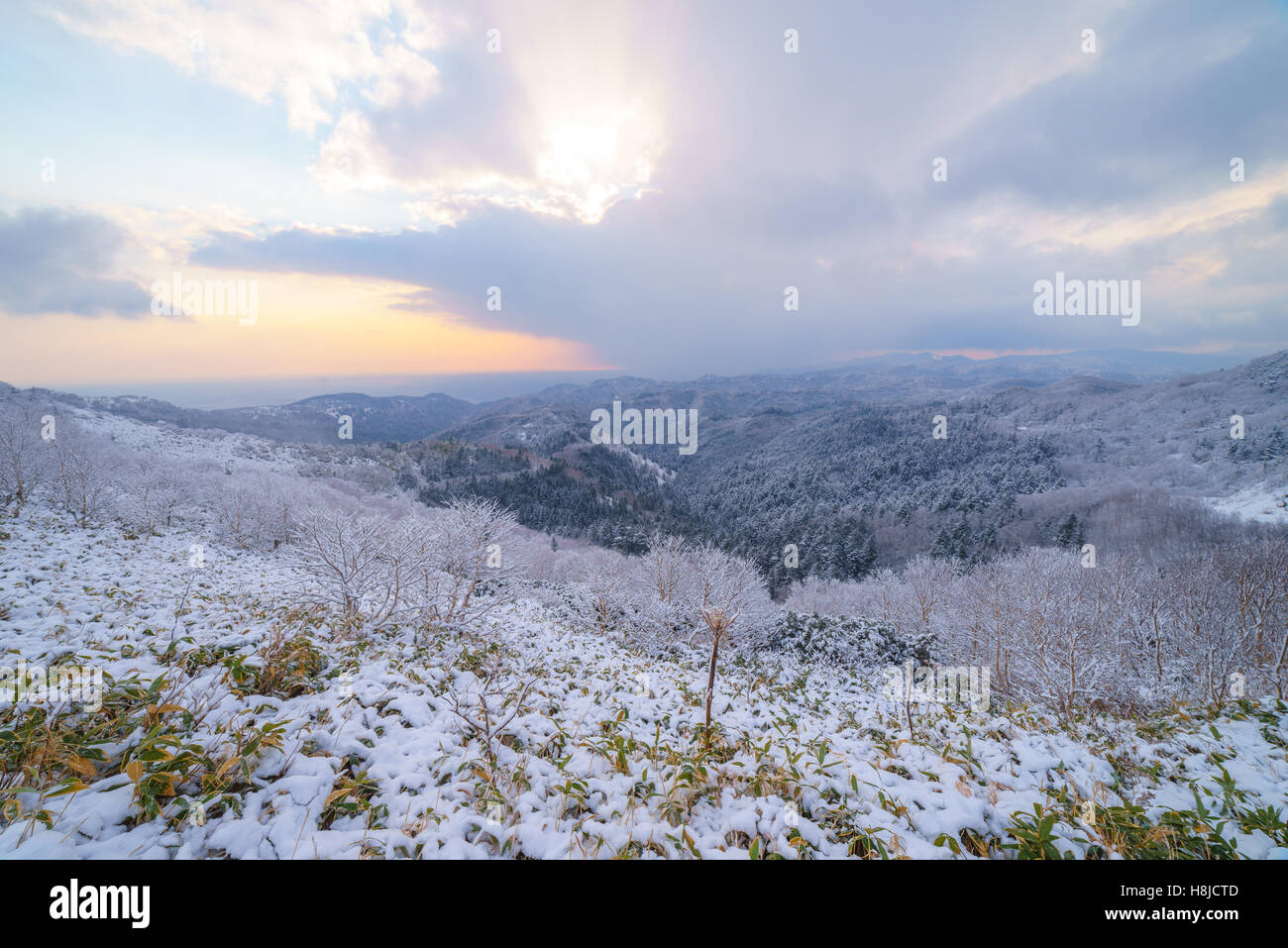 Sakhalin mountains in early winter, Russia Stock Photo - Alamy
