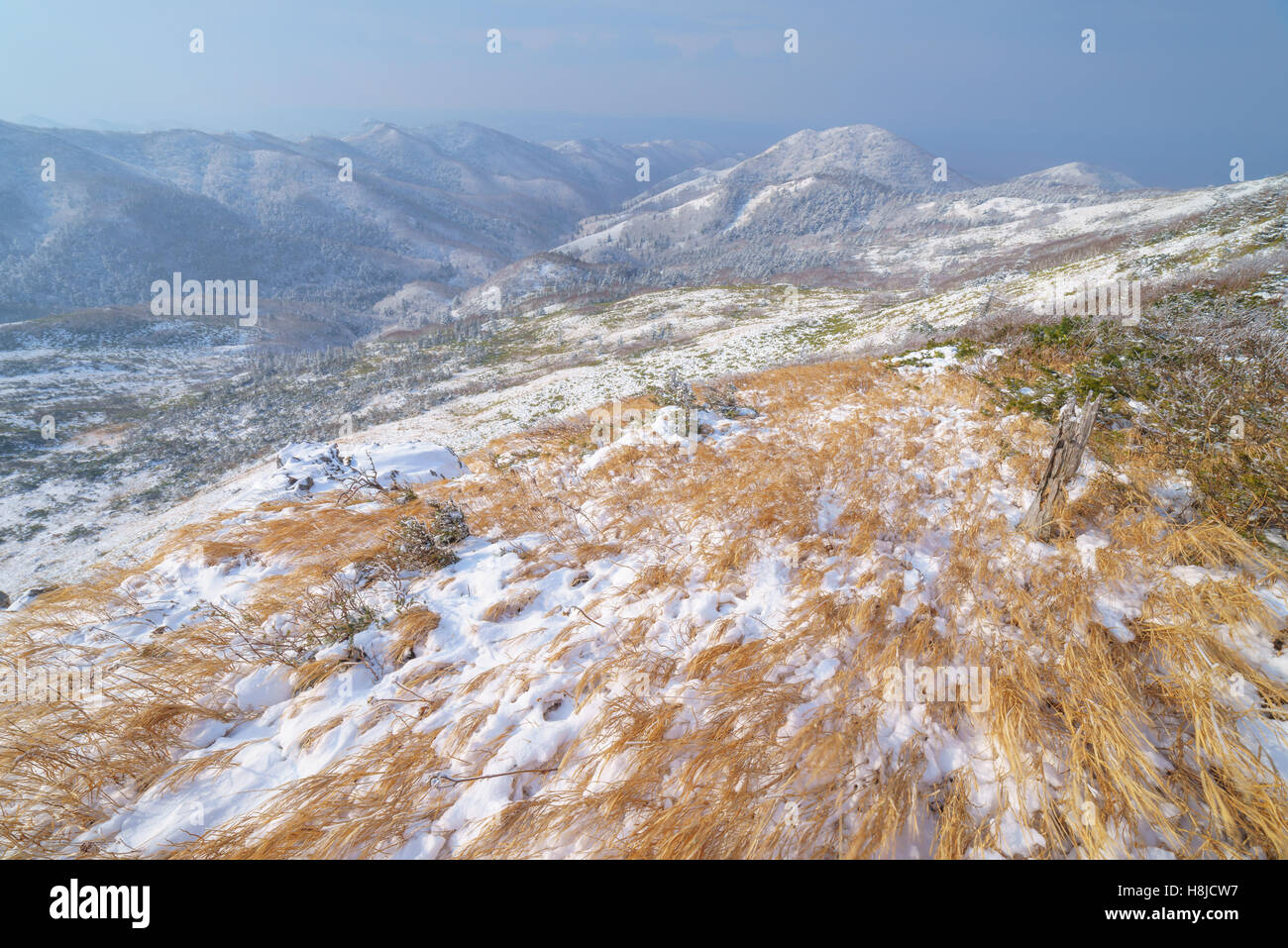 Sakhalin mountains in early winter, Russia Stock Photo - Alamy