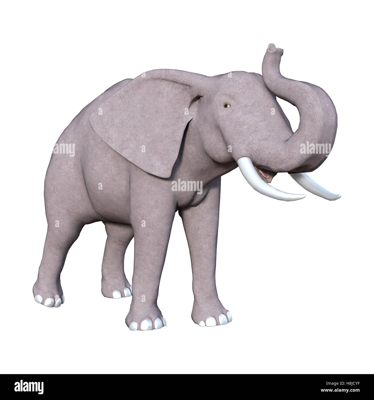 3D rendering of an elephant isolated on white background Stock Photo ...