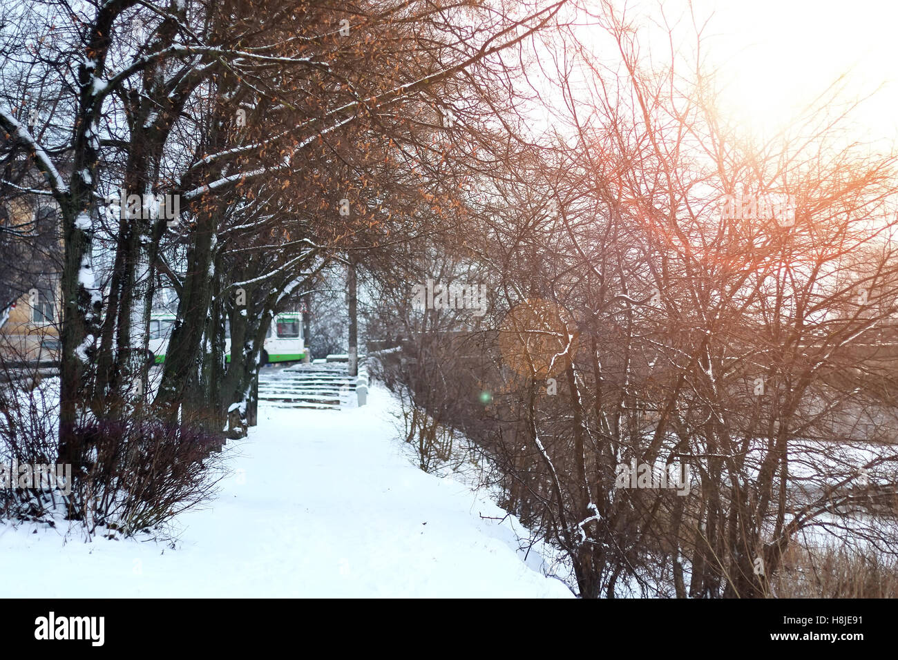alley pathway park winter Stock Photo - Alamy